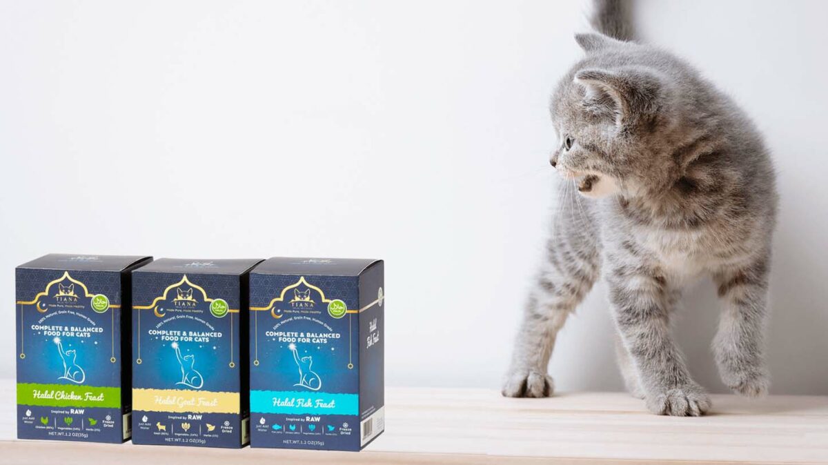 Halal Cat Food Launched In UK Pet Business World Halal Cat Food Launched In UK Pet Business World