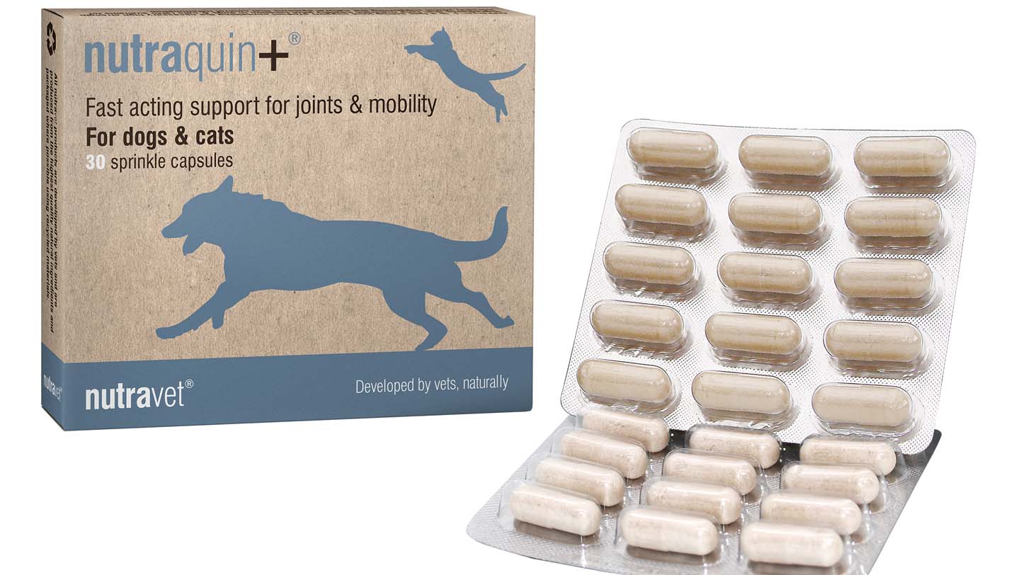 Nutravet brings out sample pack | Pet Business World