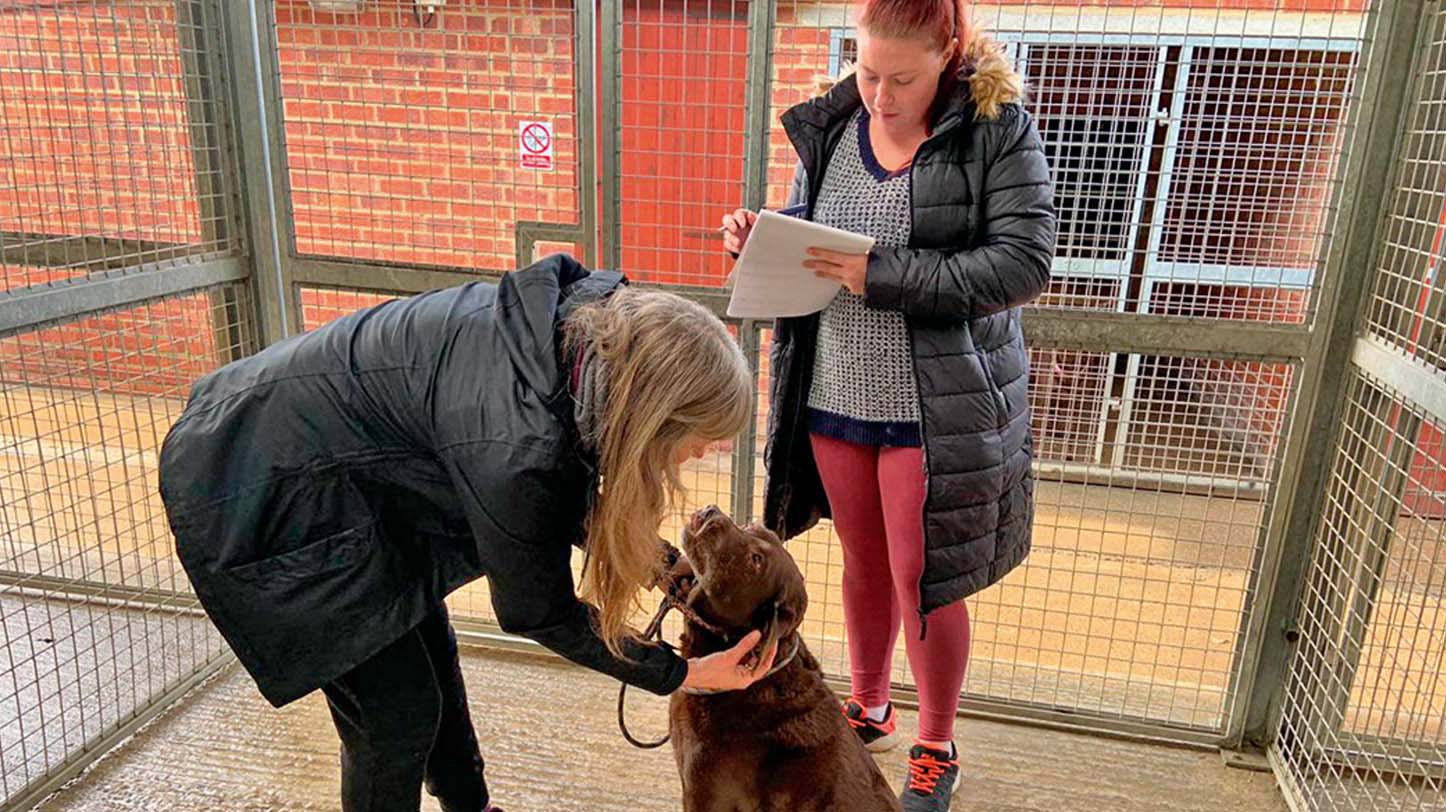 PIF asks members for input on licensing review | Pet Business World