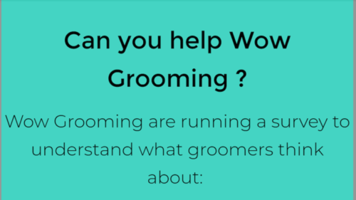 Survey to gather views on grooming techniques | Pet Business World