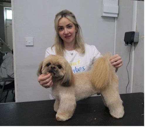 All-star grooming line-up at Pats Telford | Pet Business World