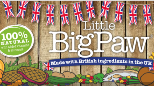 Little BigPaw acquired by Swedish-based Petbuddy Group | Pet Business World