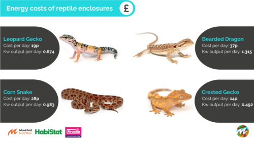 Monkfield study reveals energy cost of keeping reptiles | Pet Business ...