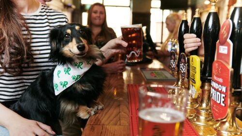 Lancashire hostelry named Best Pub for Dogs | Pet Business World