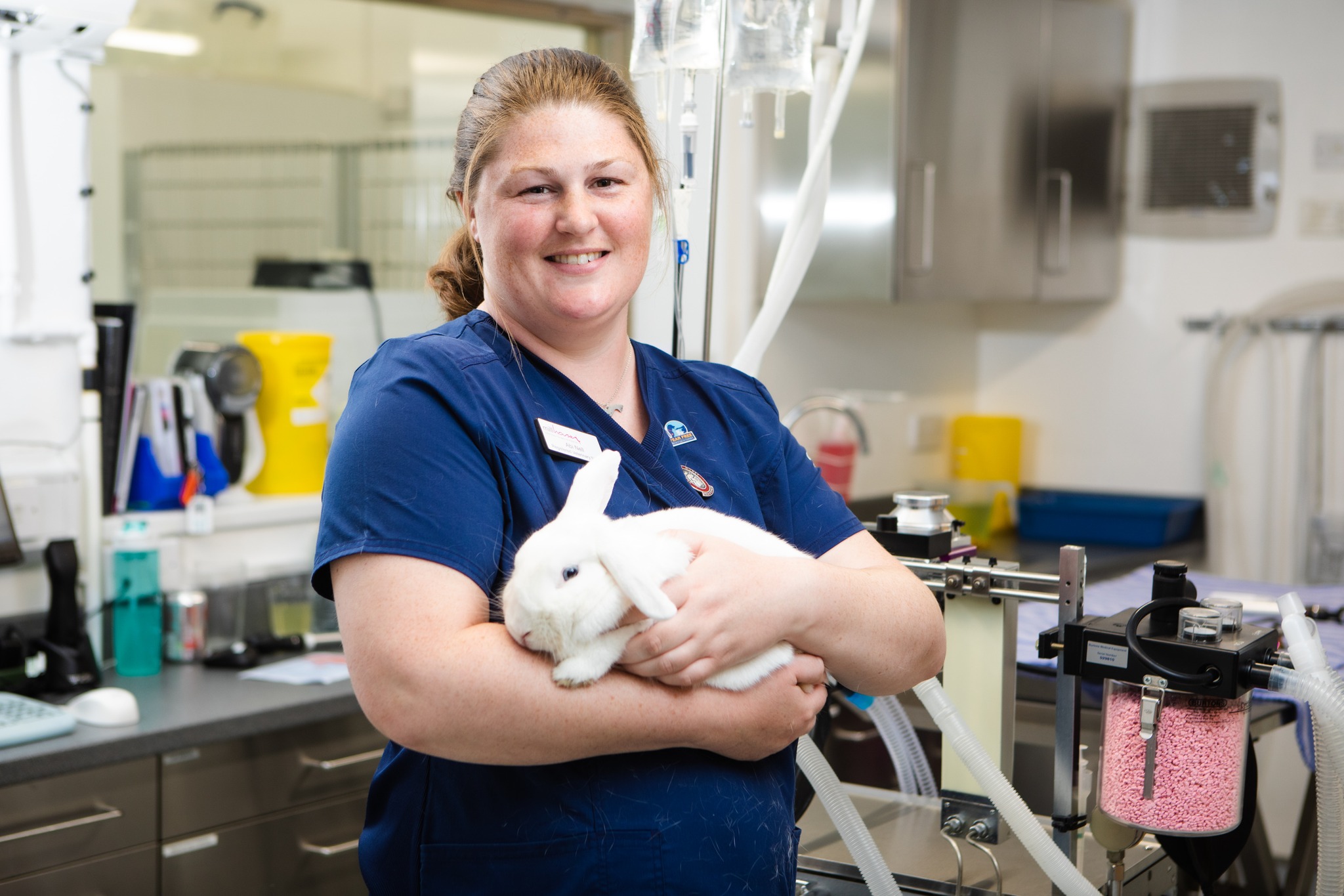 Small animal vet champions celebrated | Pet Business World