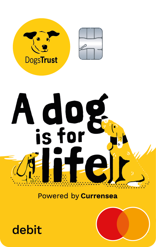 Dogs Trust launches debit card | Pet Business World
