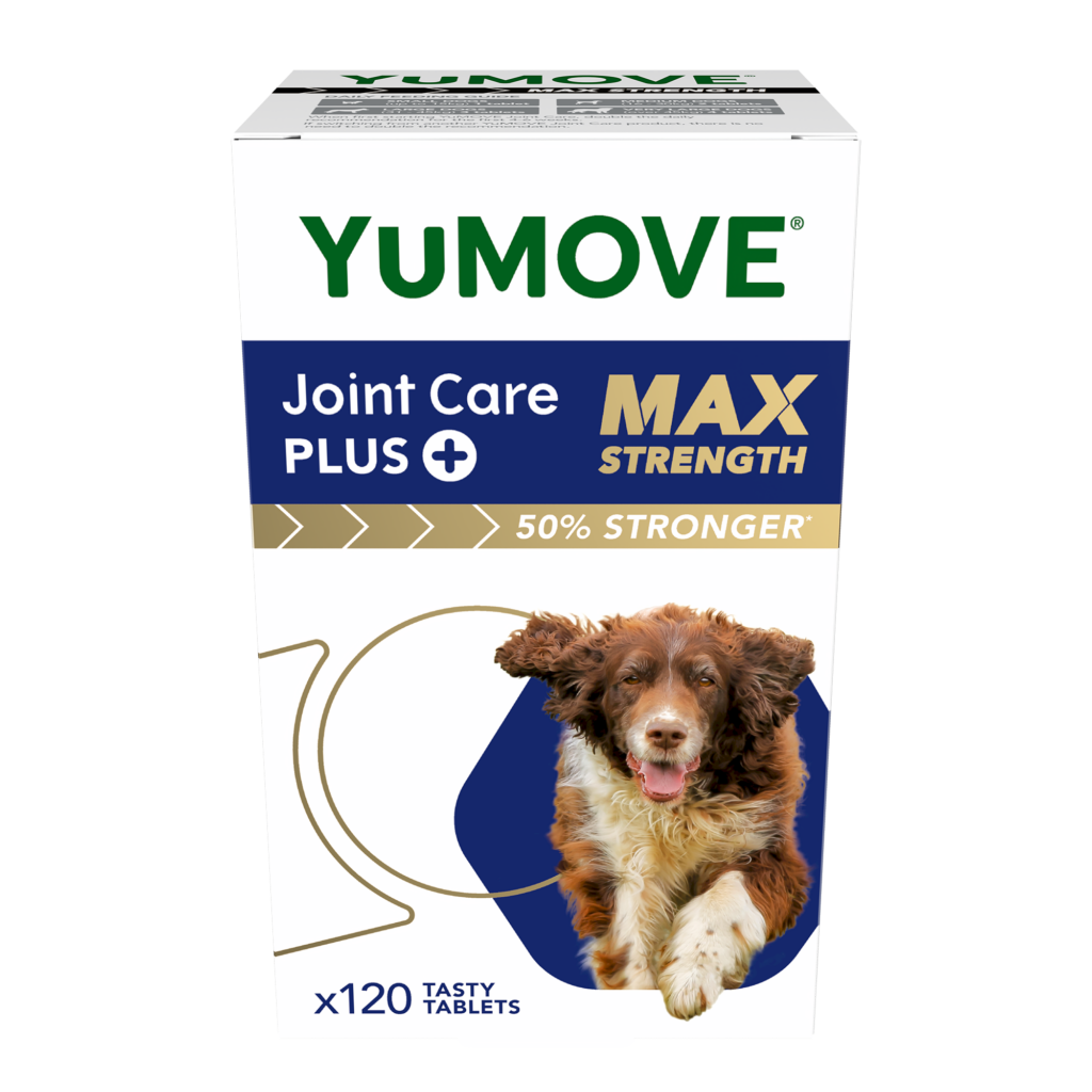 Max strength added to YuMove supplement range | Pet Business World