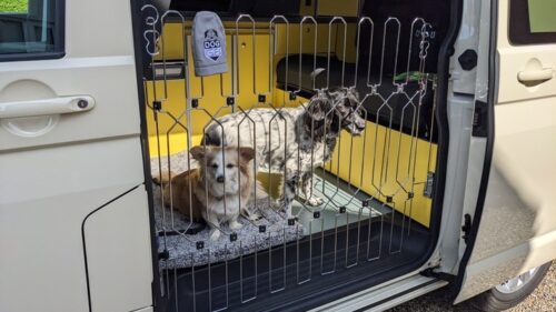 Innovative gate firm creates motorhome version | Pet Business World