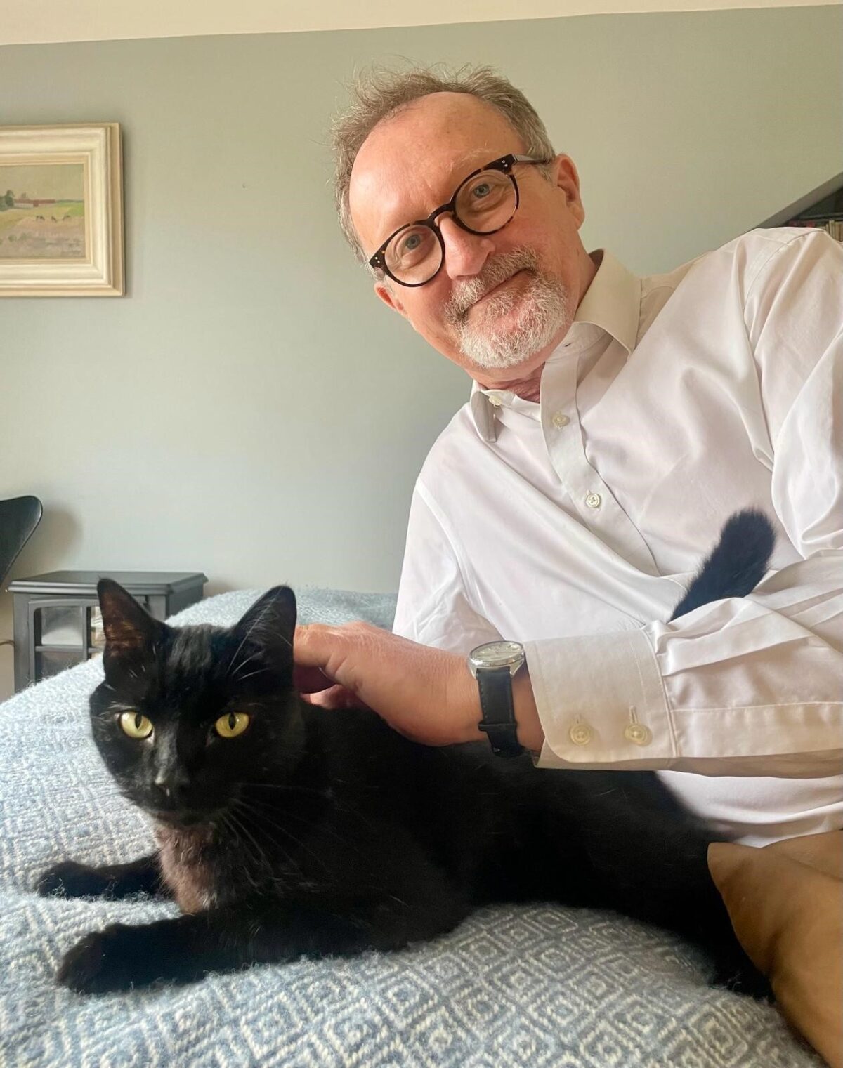 Latest pet population data shows older animals growing in appeal | Pet ...