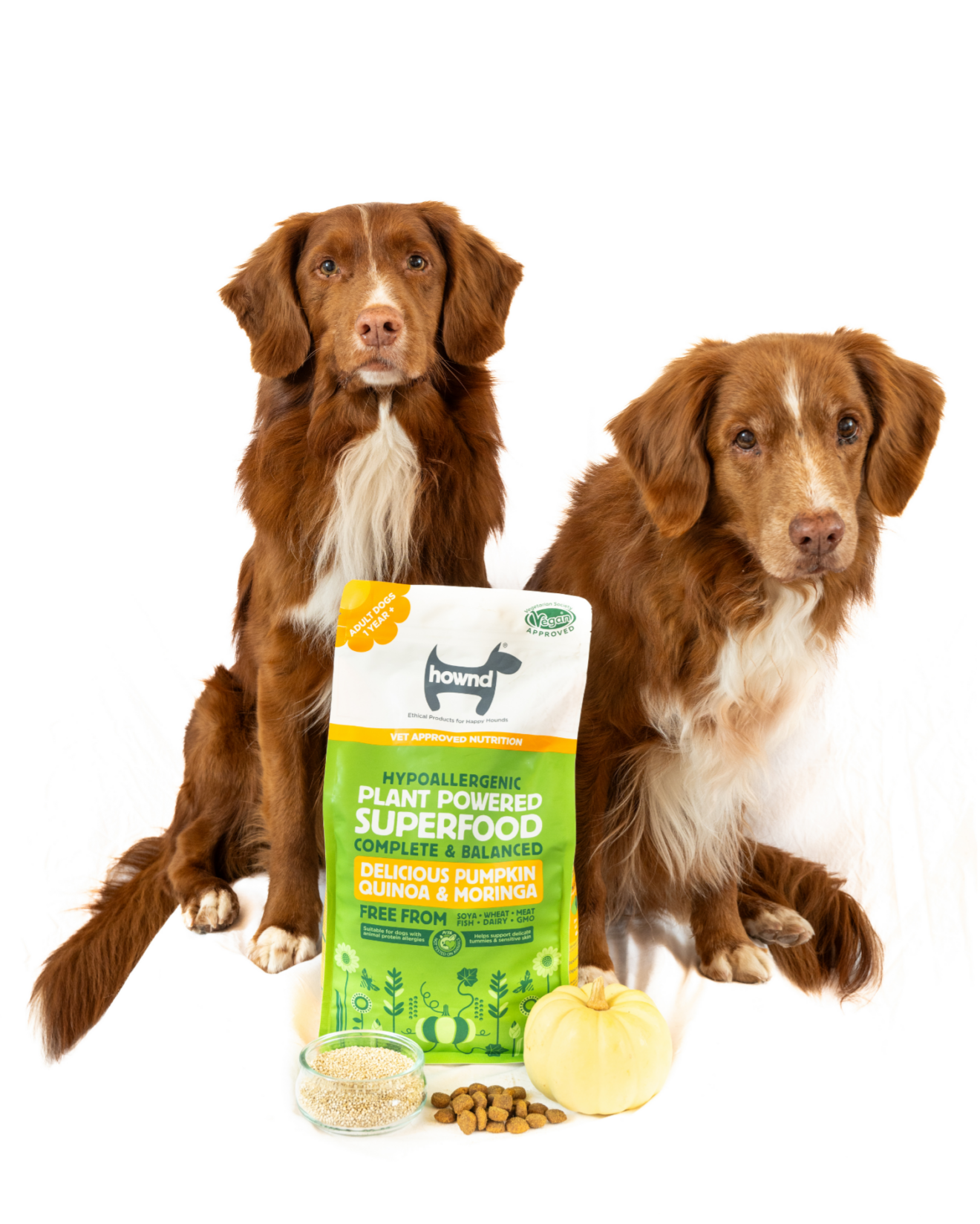 Pets Choice acquires Hownd dog food brand | Pet Business World