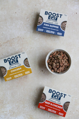 Boost Pet makes headway in grocery sector | Pet Business World