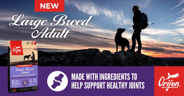 Orijen large breed variety now available in UK | Pet Business World