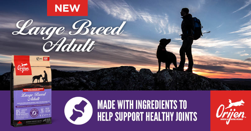 Orijen large breed variety now available in UK | Pet Business World