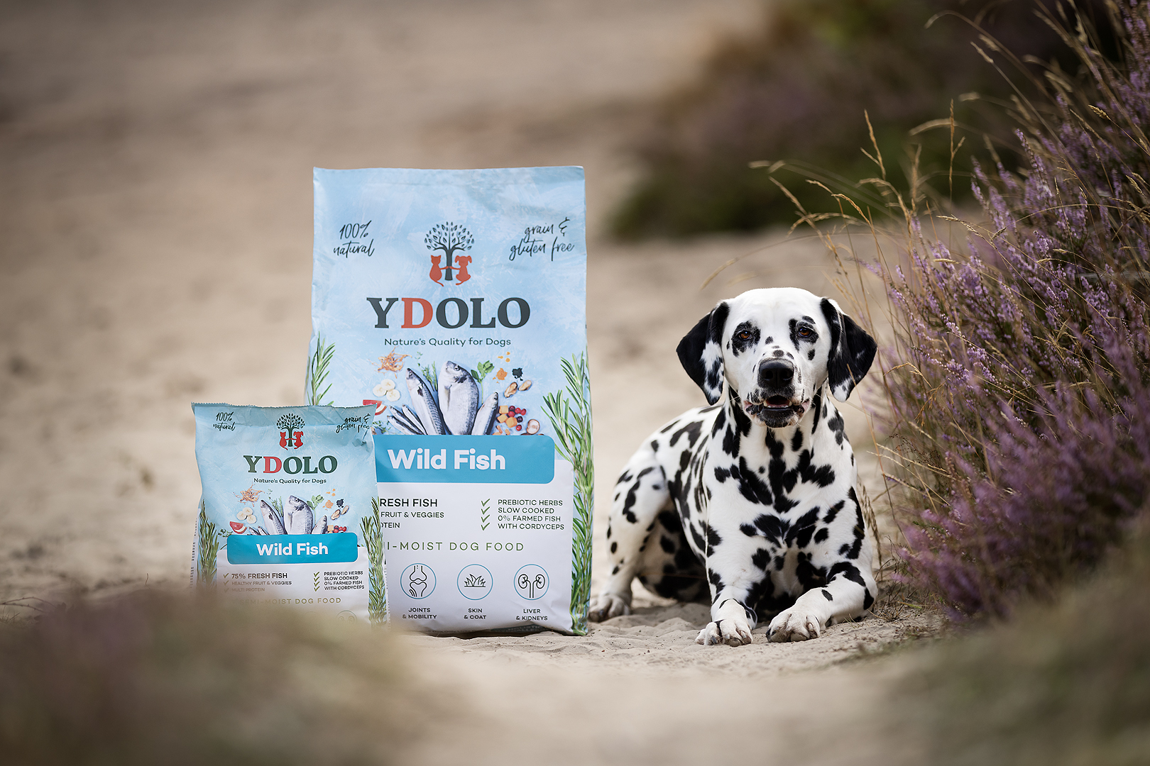 New slow-cooked kibble arrives in the UK | Pet Business World