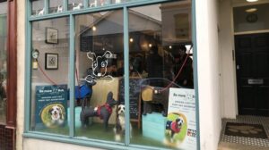 PIF launches retail window display competition | Pet Business World