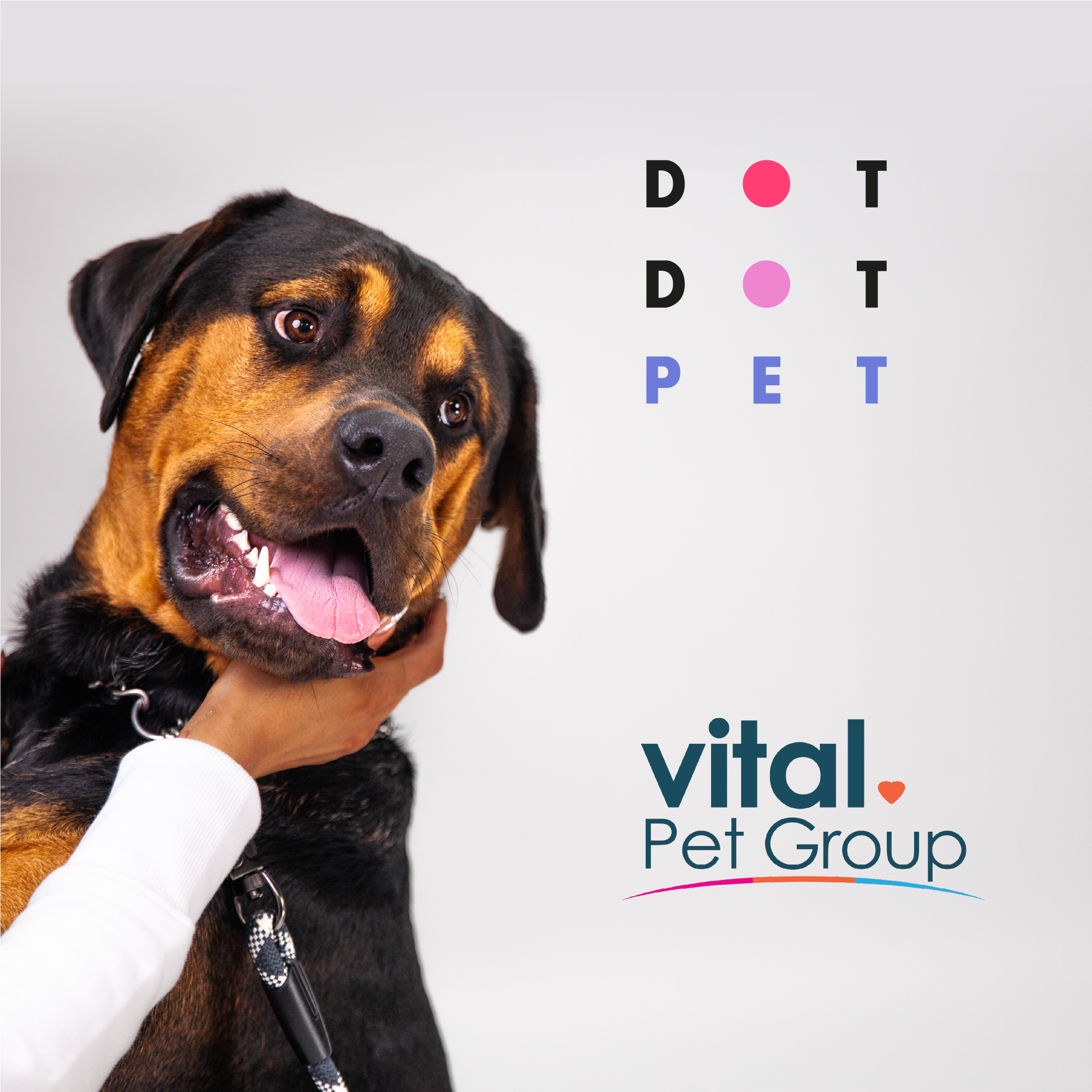Dot Dot Pet now available through Vital | Pet Business World