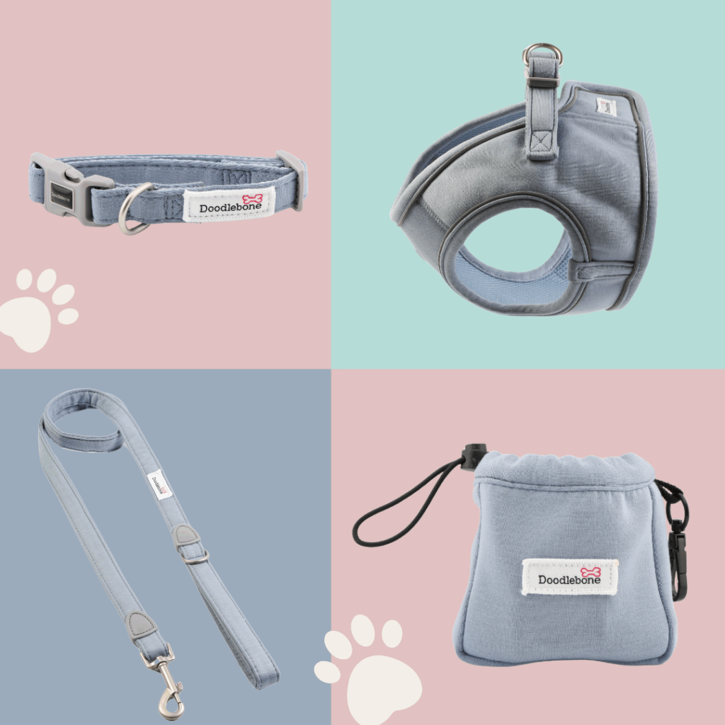 Doodlebone launches small breed collection | Pet Business World