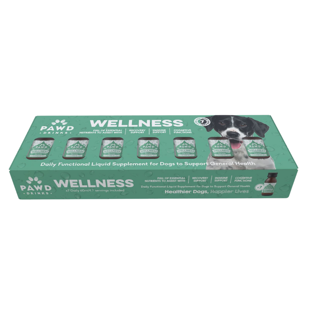 Pawd Drinks now in shelf-ready packs | Pet Business World