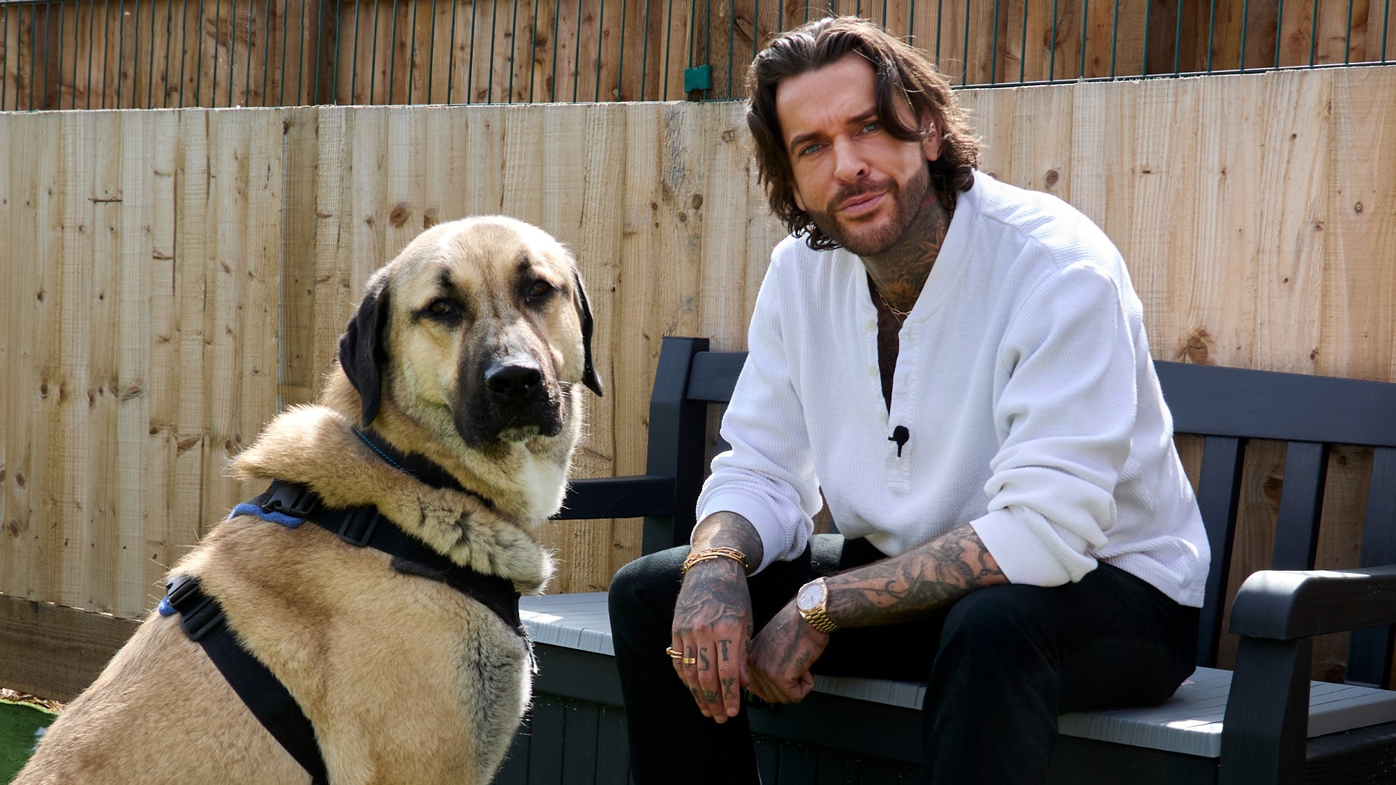 For Dogs’ Sake fetches TV award | Pet Business World