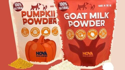 Nova Dog Chews launches two new functional supplements | Pet Business World