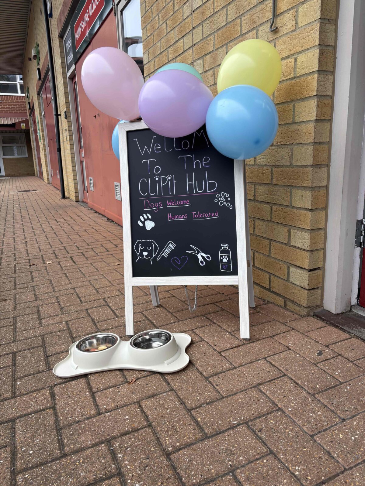 Clipit Grooming opens education hub | Pet Business World