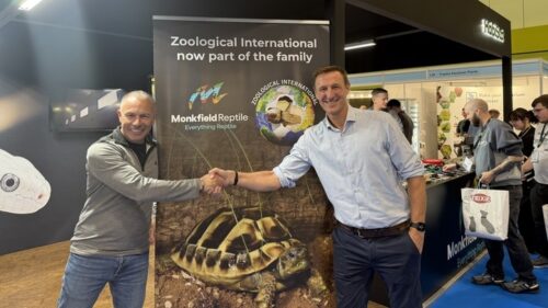 Monkfield Reptile acquires tortoise business Zoological International ...