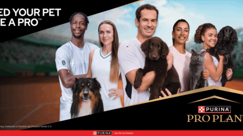 Andy Murray fronts tennis-themed pet campaign for Purina | Pet Business ...