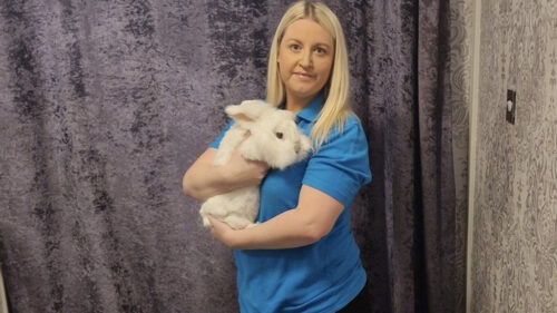 WHM Pet donates feed and funds to rabbit rescue organisation | Pet ...