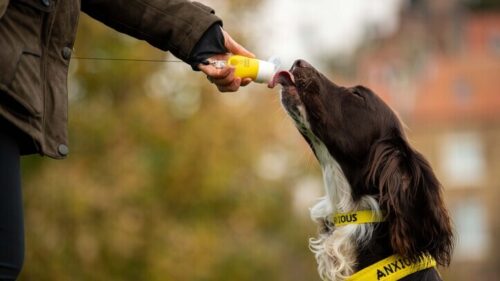 Innovative reward dispenser tube gains recommended status | Pet ...