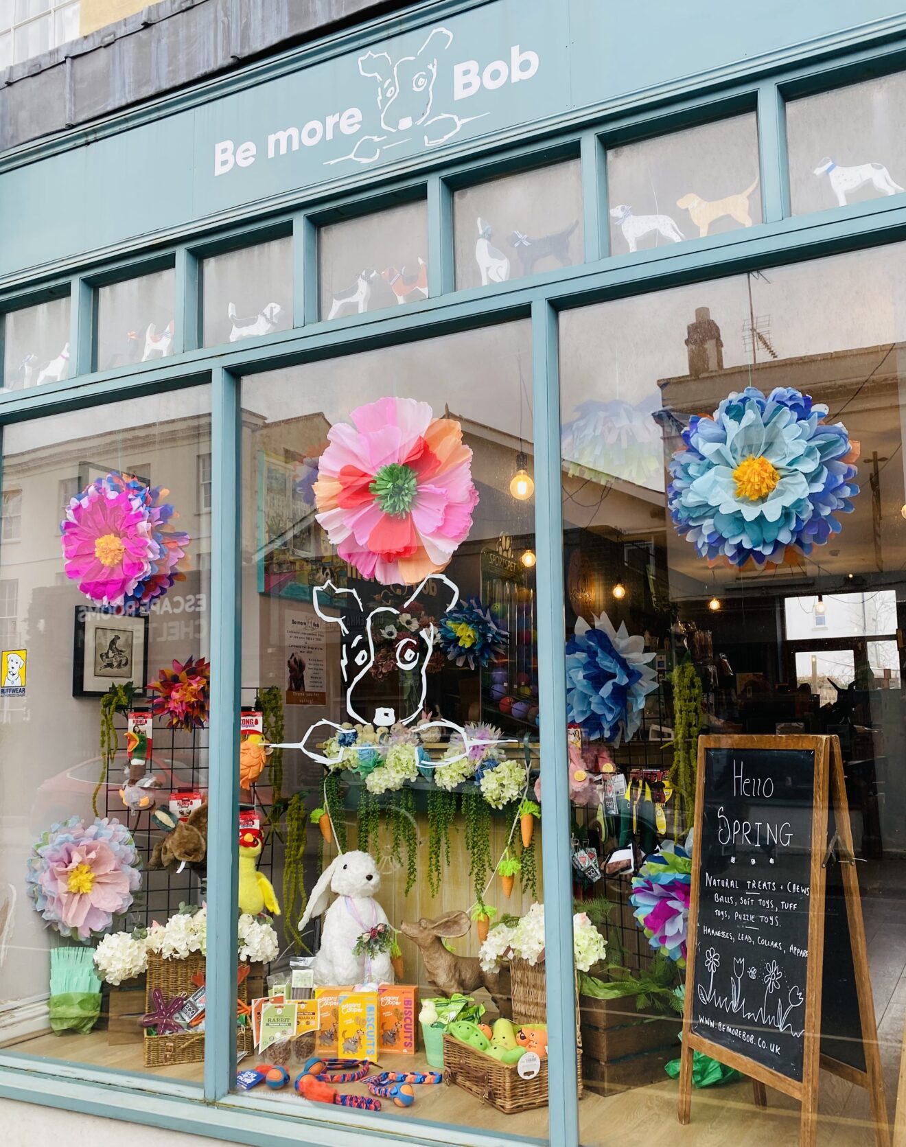 Cheltenham retailer wins window display competition | Pet Business World