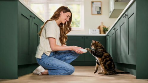 New bone broth toppers from Encore | Pet Business World