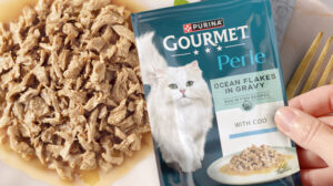 Relaunch for Purina Gourmet Perle range | Pet Business World