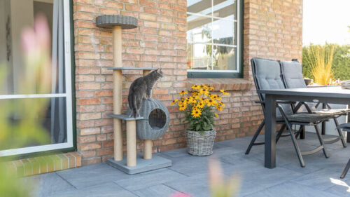 Outdoor style for cats from Trixie | Pet Business World